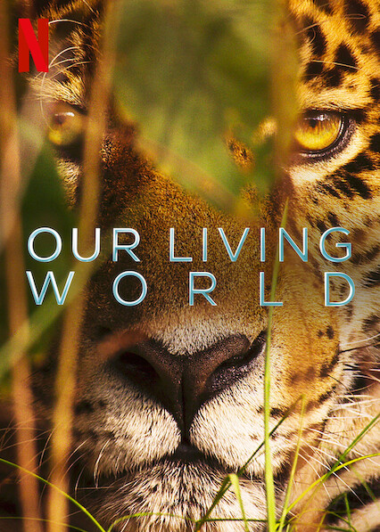 Is 'Our Living World' on Netflix in Australia? Where to Watch the ...